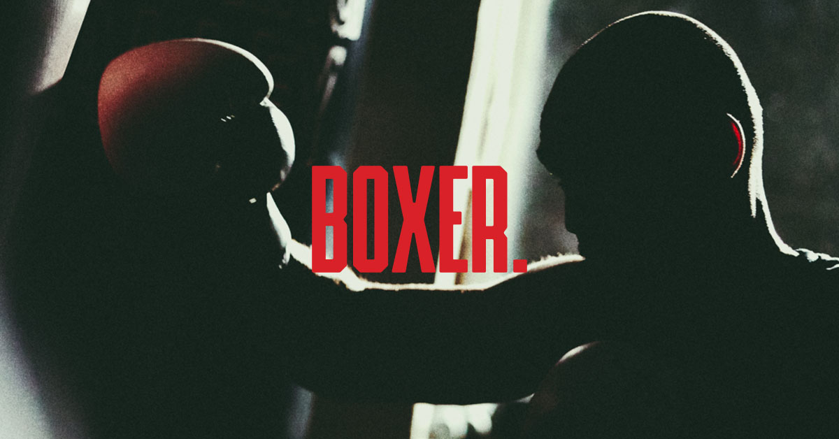 Boxer | Creative Agency in Auckland
